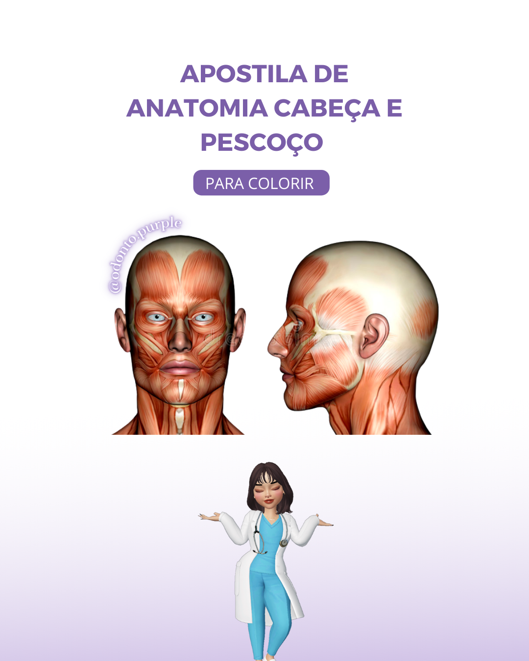 Apostila de Anatomia Cabeça e Pescoço - Raissa Gama | Hotmart
