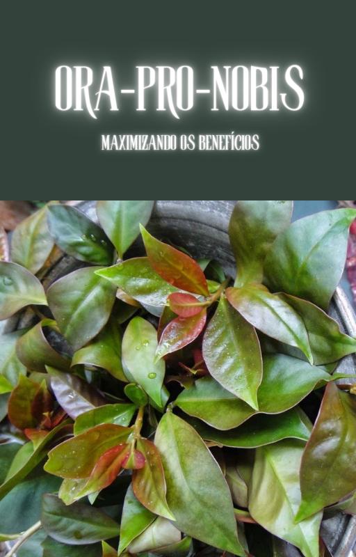 Dieta da Ora-pro-Nobis