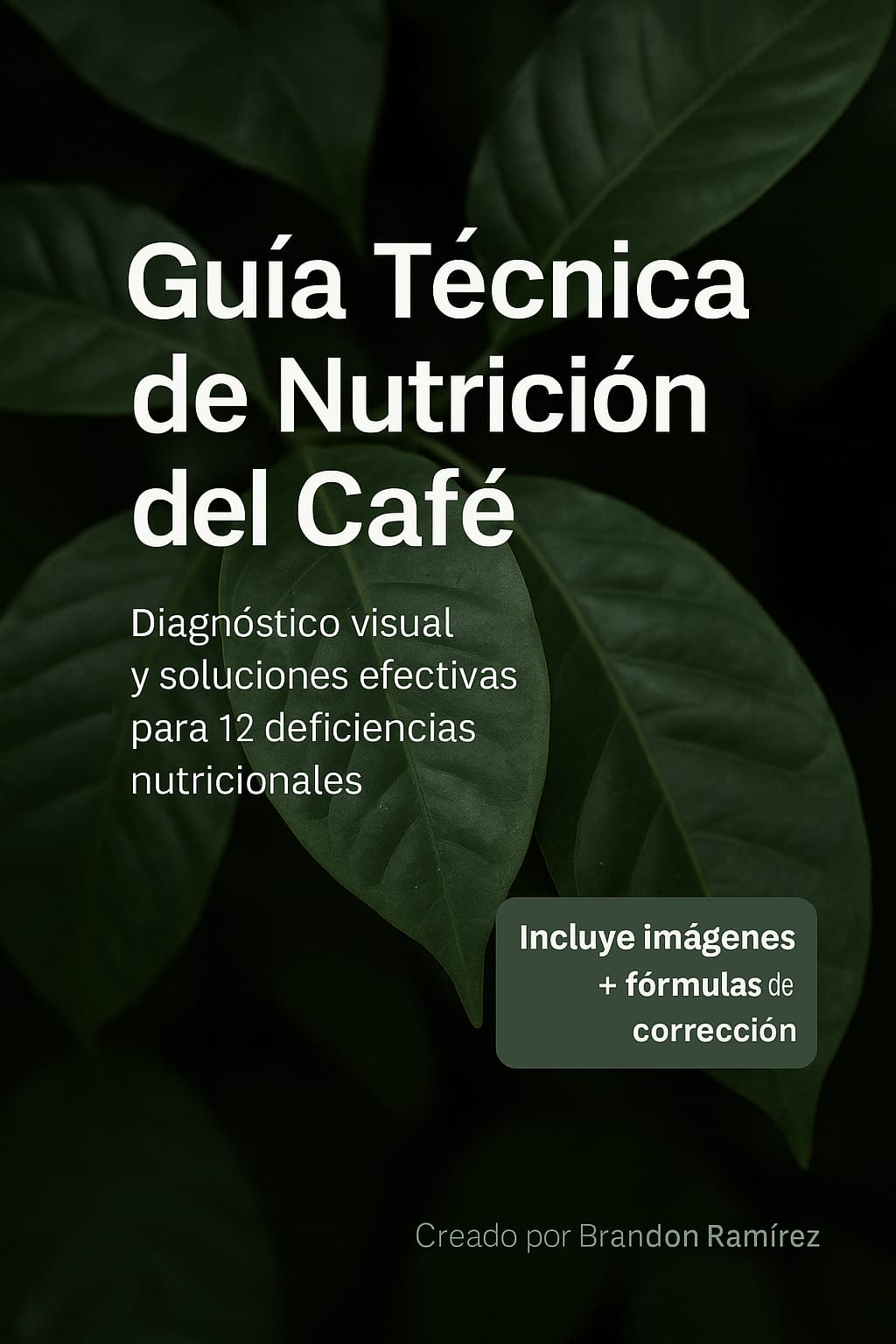 Guía técnica de nutrición del café: Identifica y corrige deficienc...