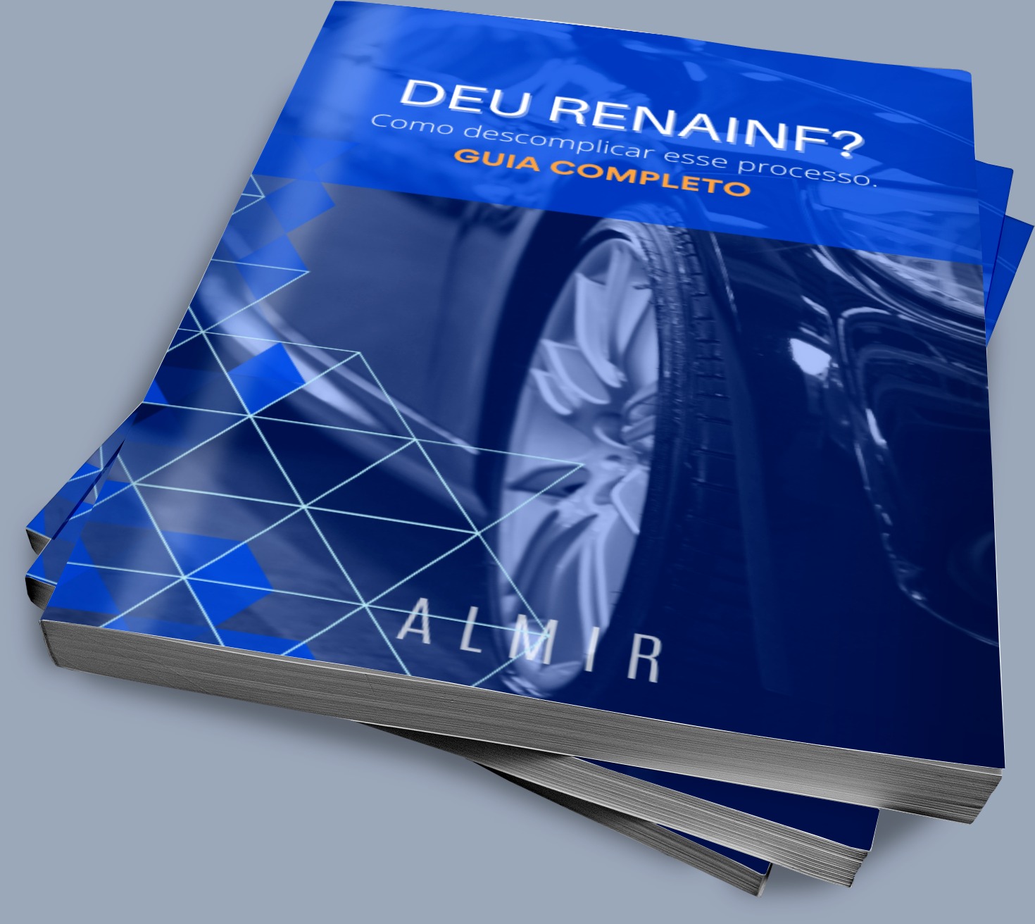 RENAINF descomplicando esse processo - Almir Erasmo | Hotmart