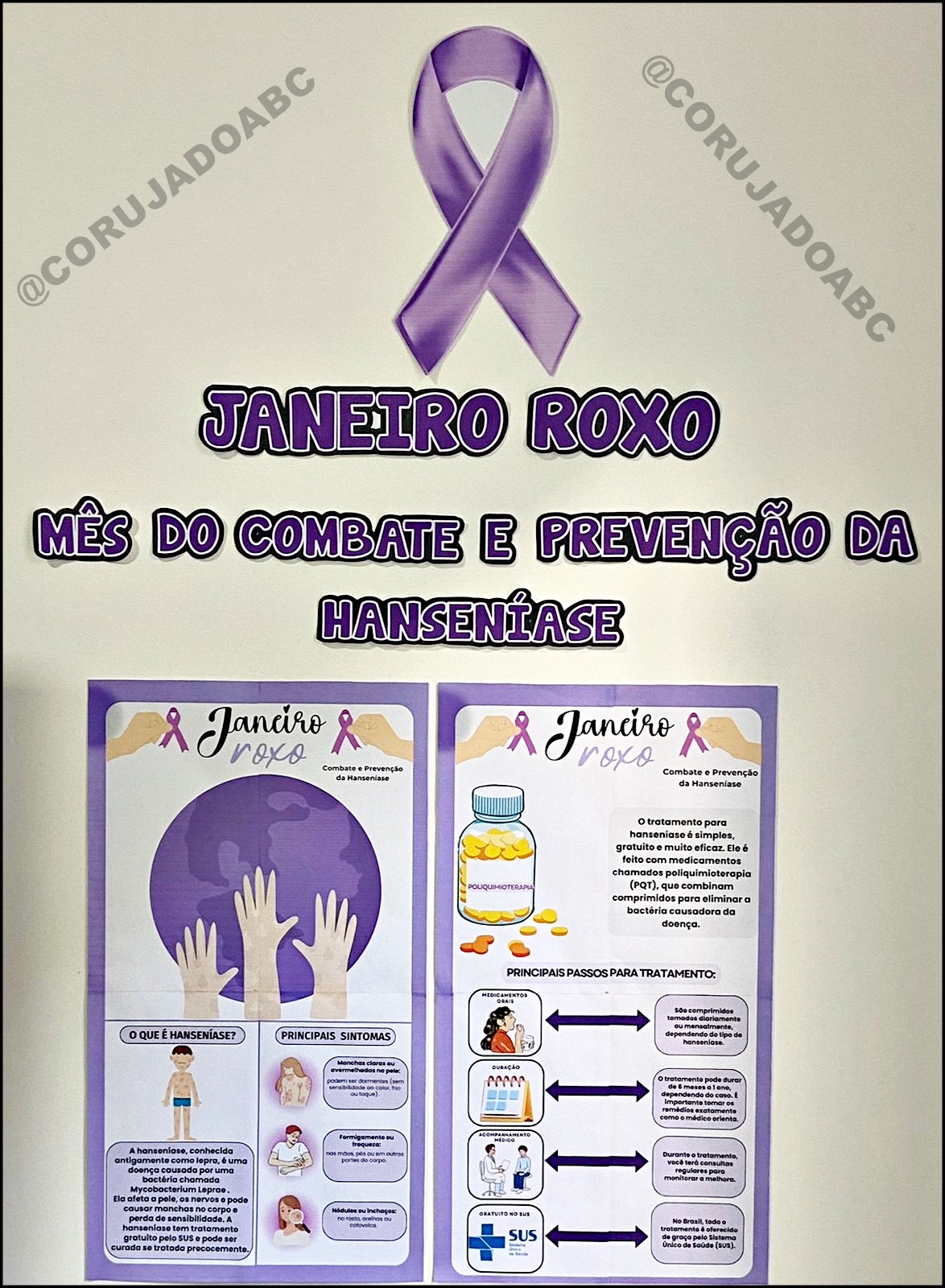 JANEIRO ROXO 2025 - Coruja Do ABC | Hotmart