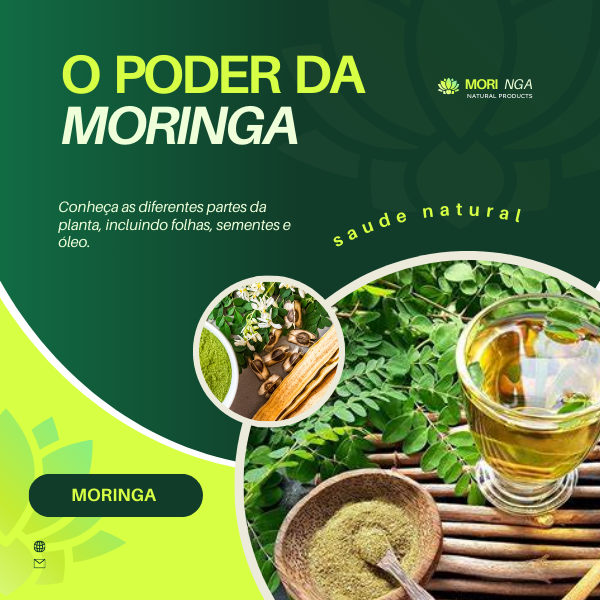 O PODER DA MORINGA