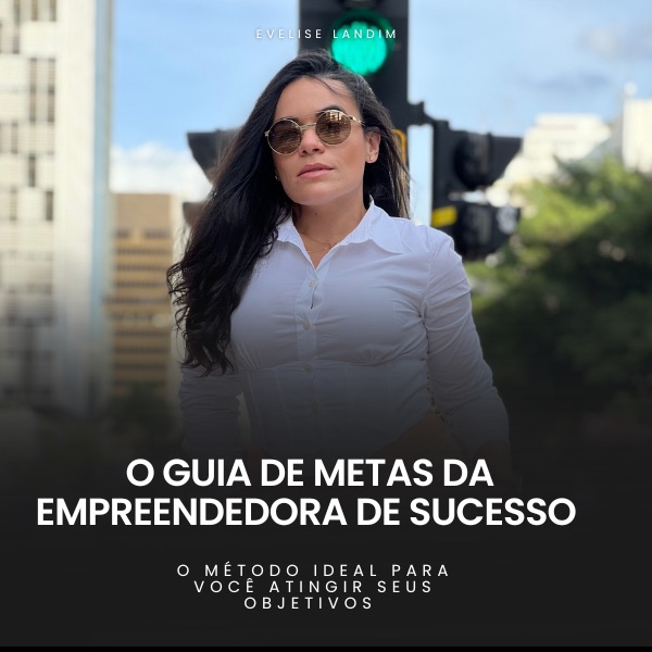 O guia de metas da empreendedora de sucesso - Evelise landim alenc...