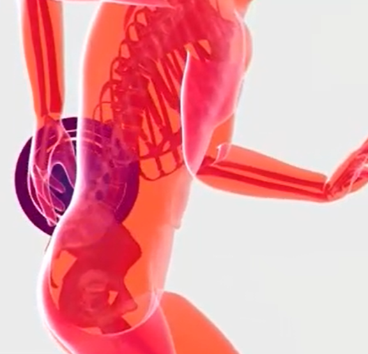 Protocolo 7 Exercícios - Camila andrade silva | Hotmart