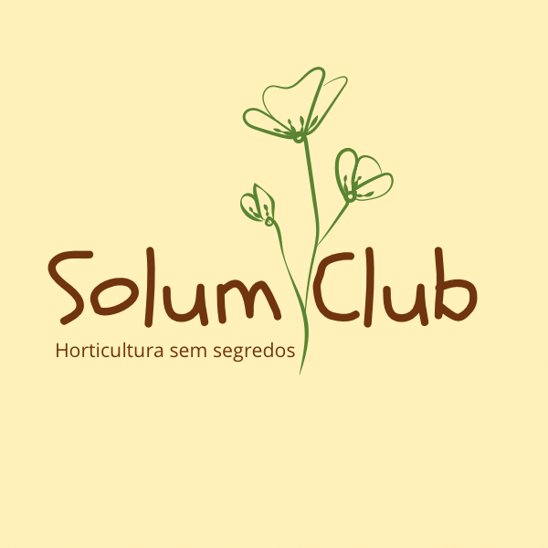 Solum club - Drica Adamo | Hotmart