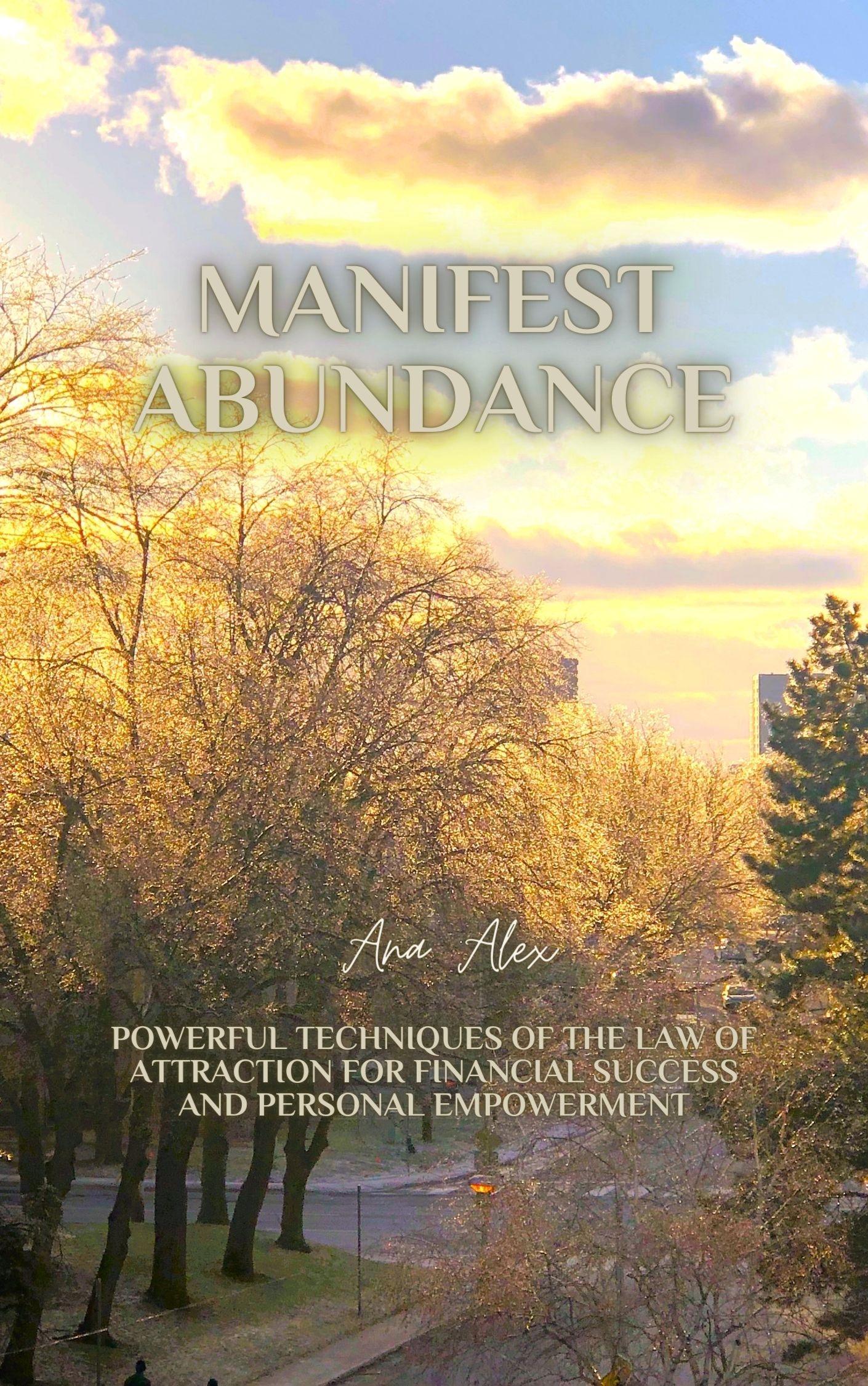 Manifest Abundance: Powerful Techniques of the Law of Attraction for Financial Sucess and ...