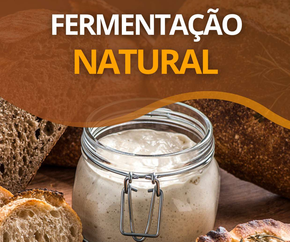 Fermentação Natural - Tudo que Você Precisa Saber - Jésus Gaetã Sil...