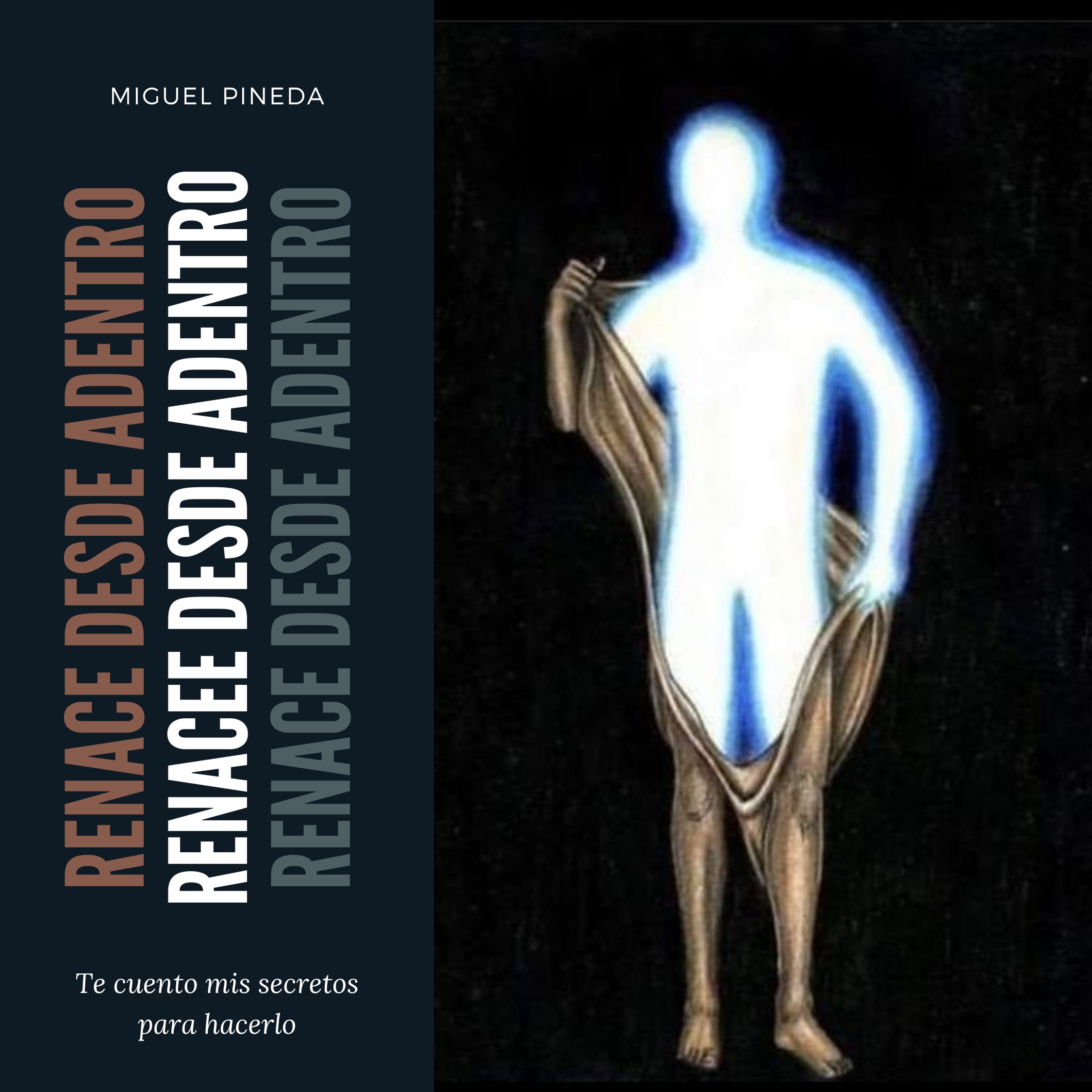 Renace desde adentro: Descubre tu verdadero poder - Juan Miguel oso...