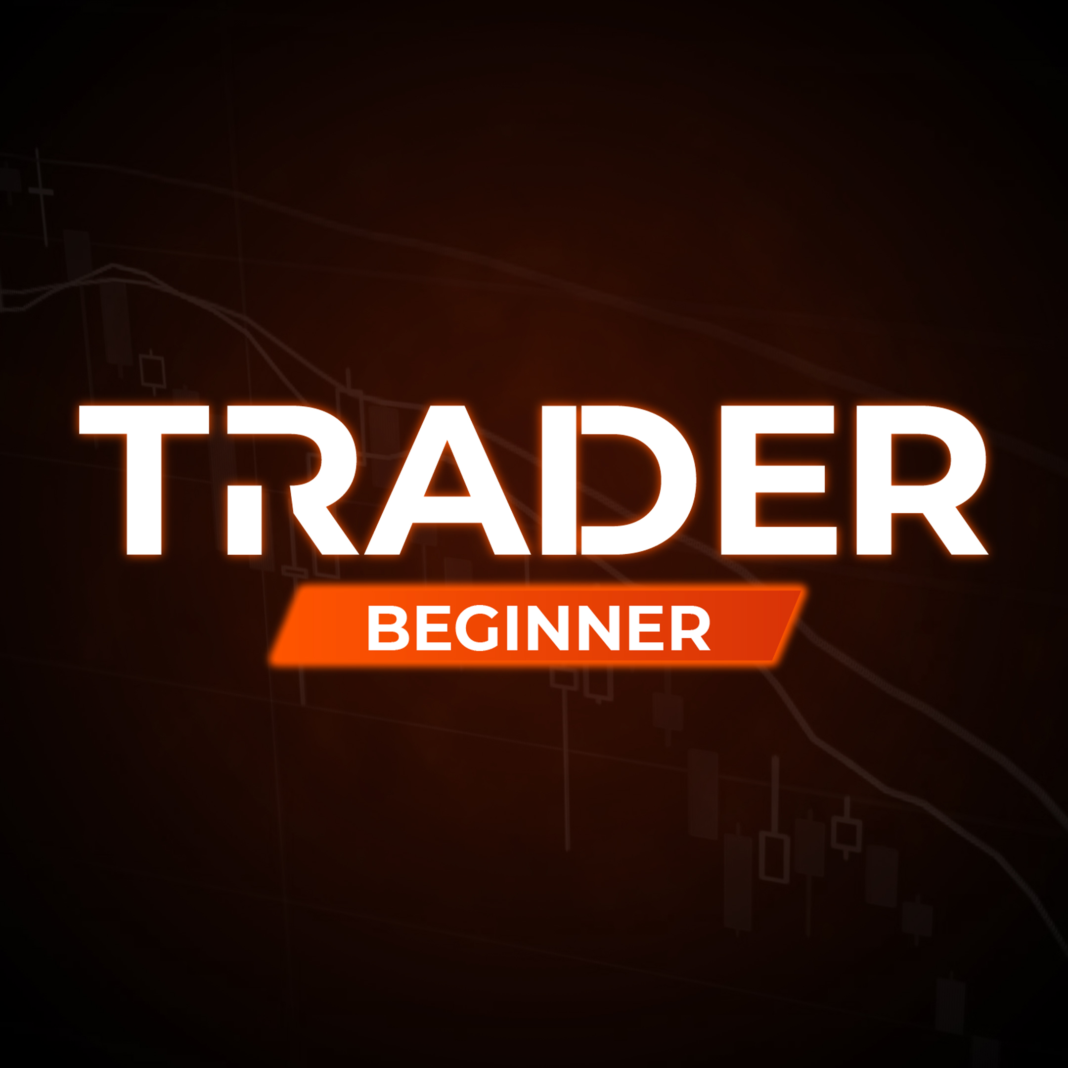 Trader Beginner - David Felipe Vivas Alferez | Hotmart