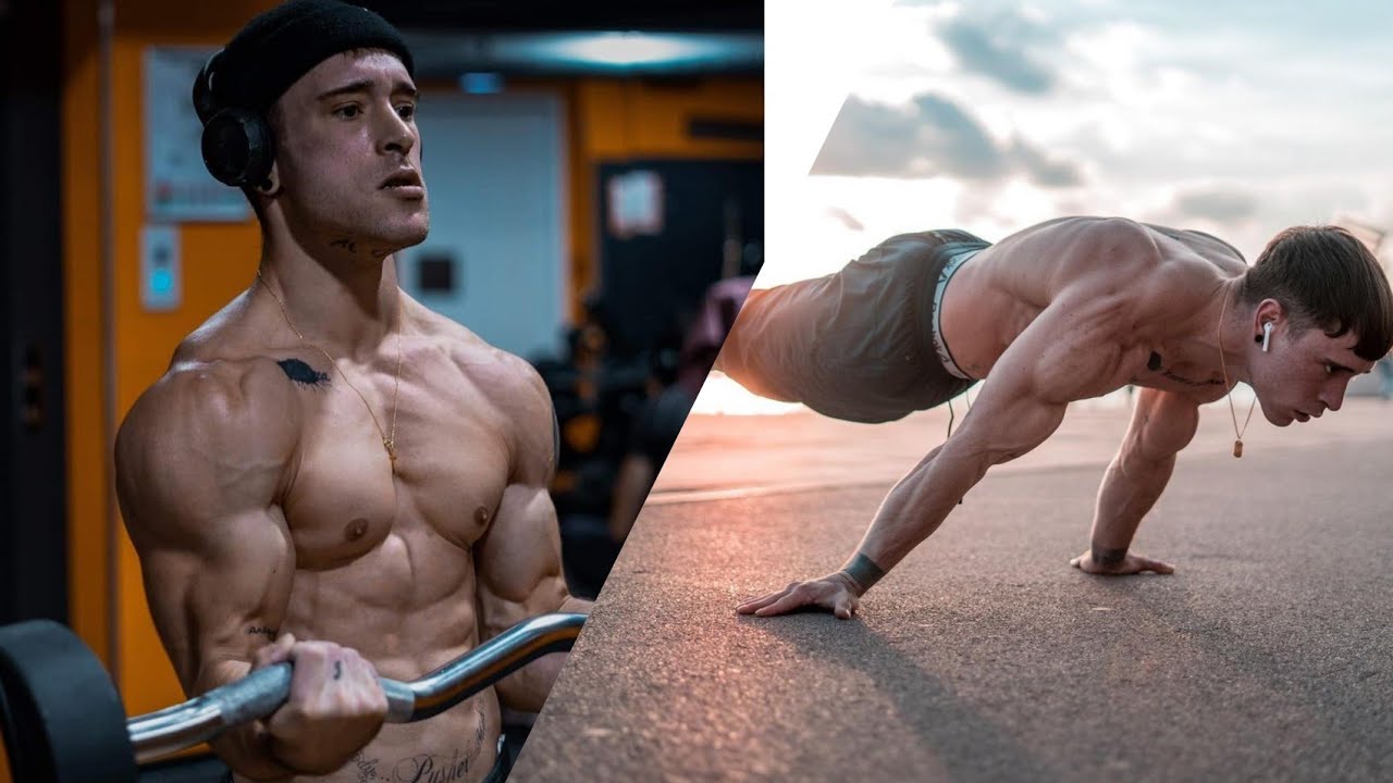 Planche programme calisthenics