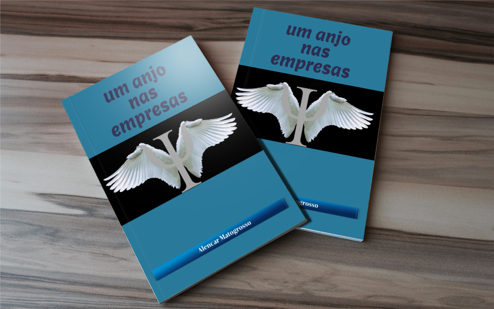 Um Anjo nas Empresas