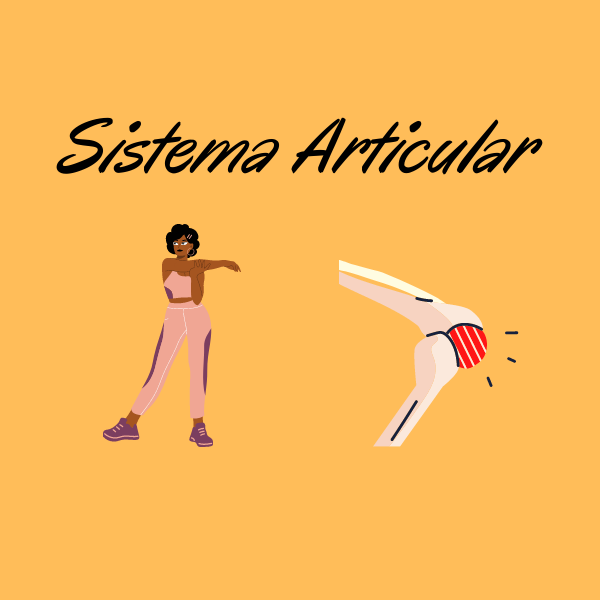 Uma revisão básica sobre o sistema articular