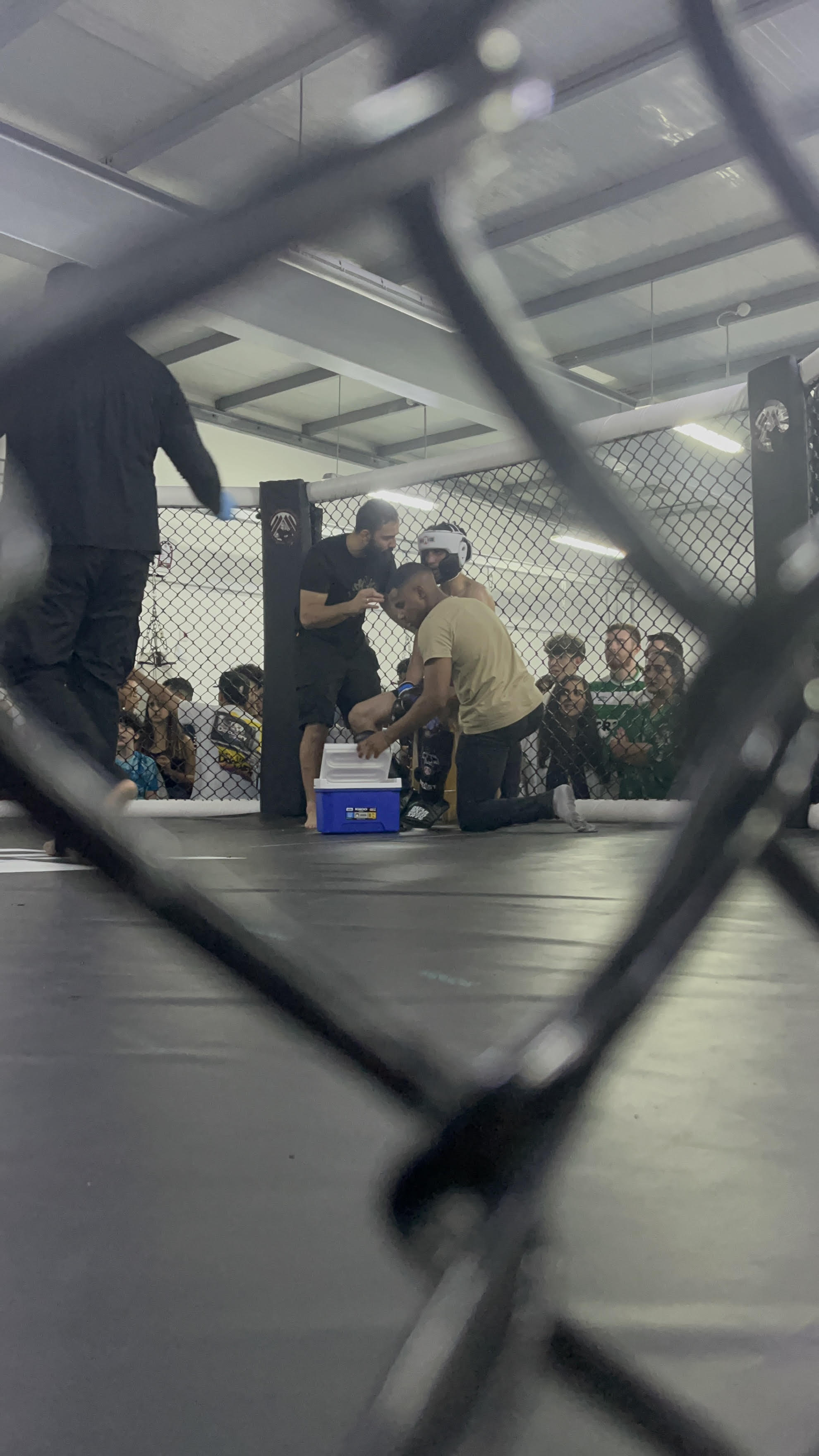 MMA Basic 1 - Samuel Costa d’Avila Carneiro | Hotmart