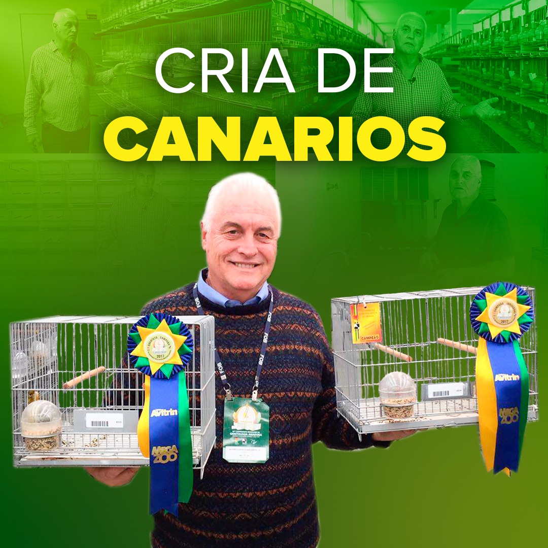 Cria de canarios - con Alvaro Blasina