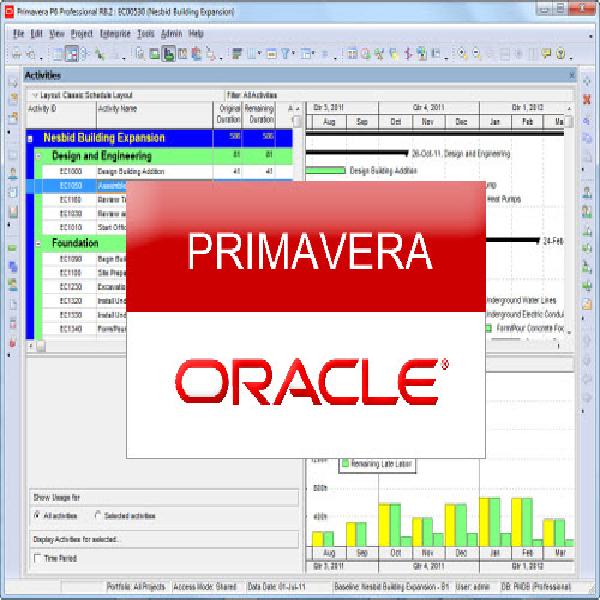 Primavera P6 Essencial - Com técnicas de Gerenciamento de Projetos ...