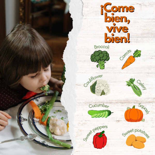 Delicias Nutritivas para Bebés - Derick Mironde Vicente Zambuco