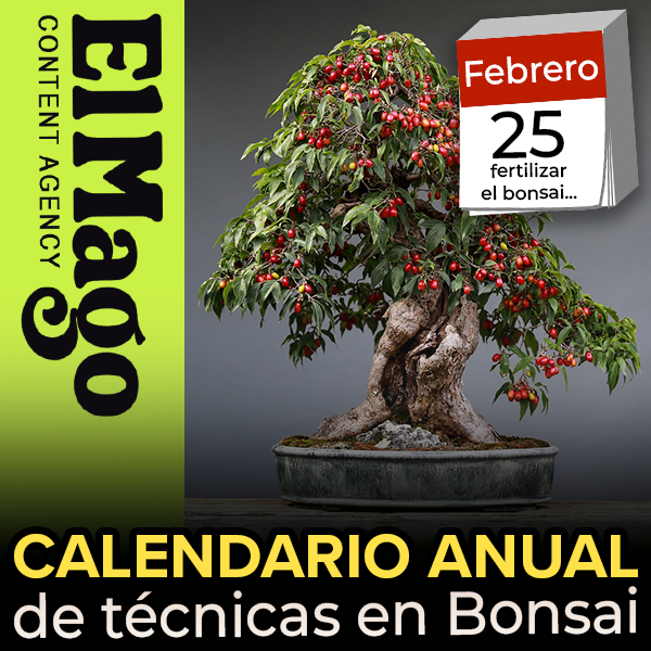 Calendario Anual de Técnicas para aplicar a tus Bonsai - Rodrigo Ni...
