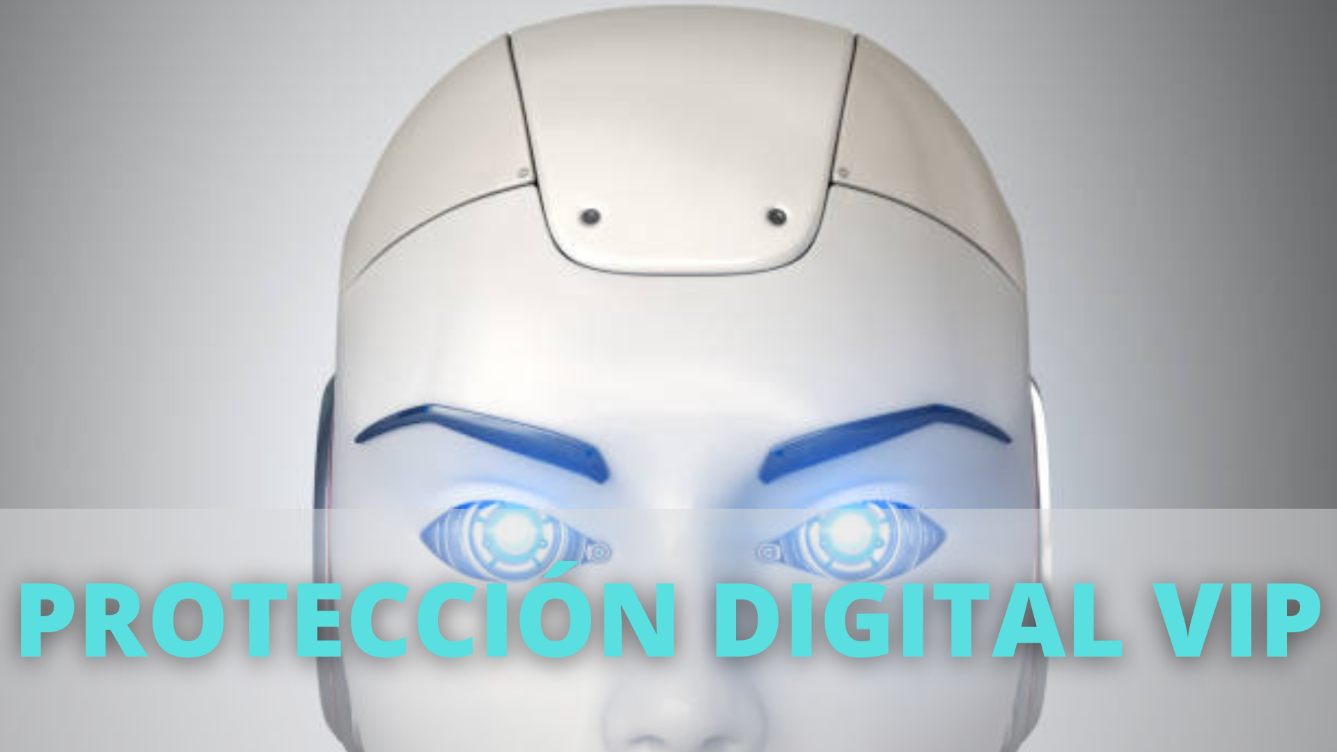 Tarjeta Digital Vip : Robot “Protección Digital Vip” - Natra Plogin...