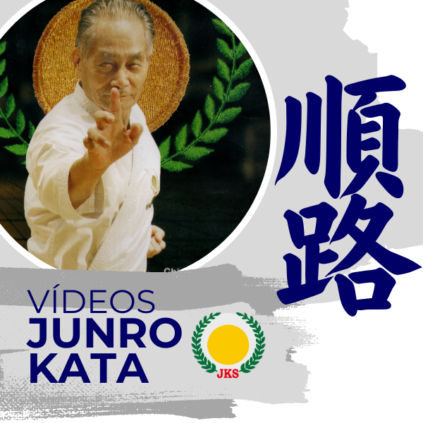 Junro Kata - Karate - Henrique Valentim Lassaval Farias | Hotmart