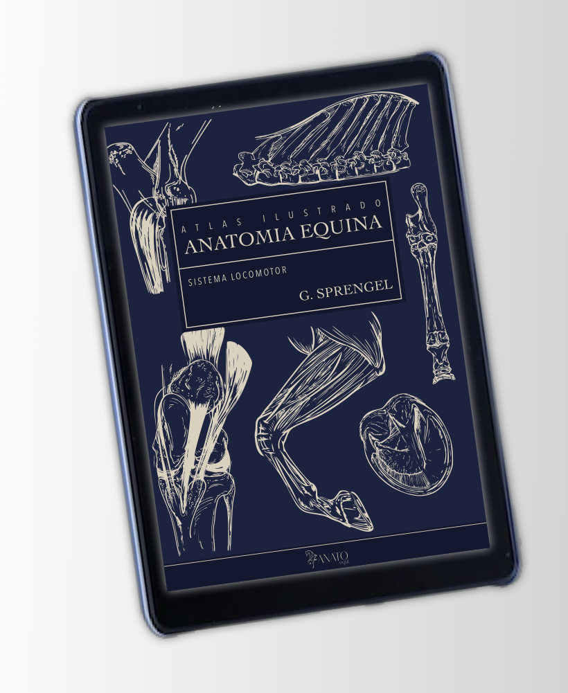 Coleção Atlas Ilustrado Anatomia Equina - Sistema Locomotor - Gabri...