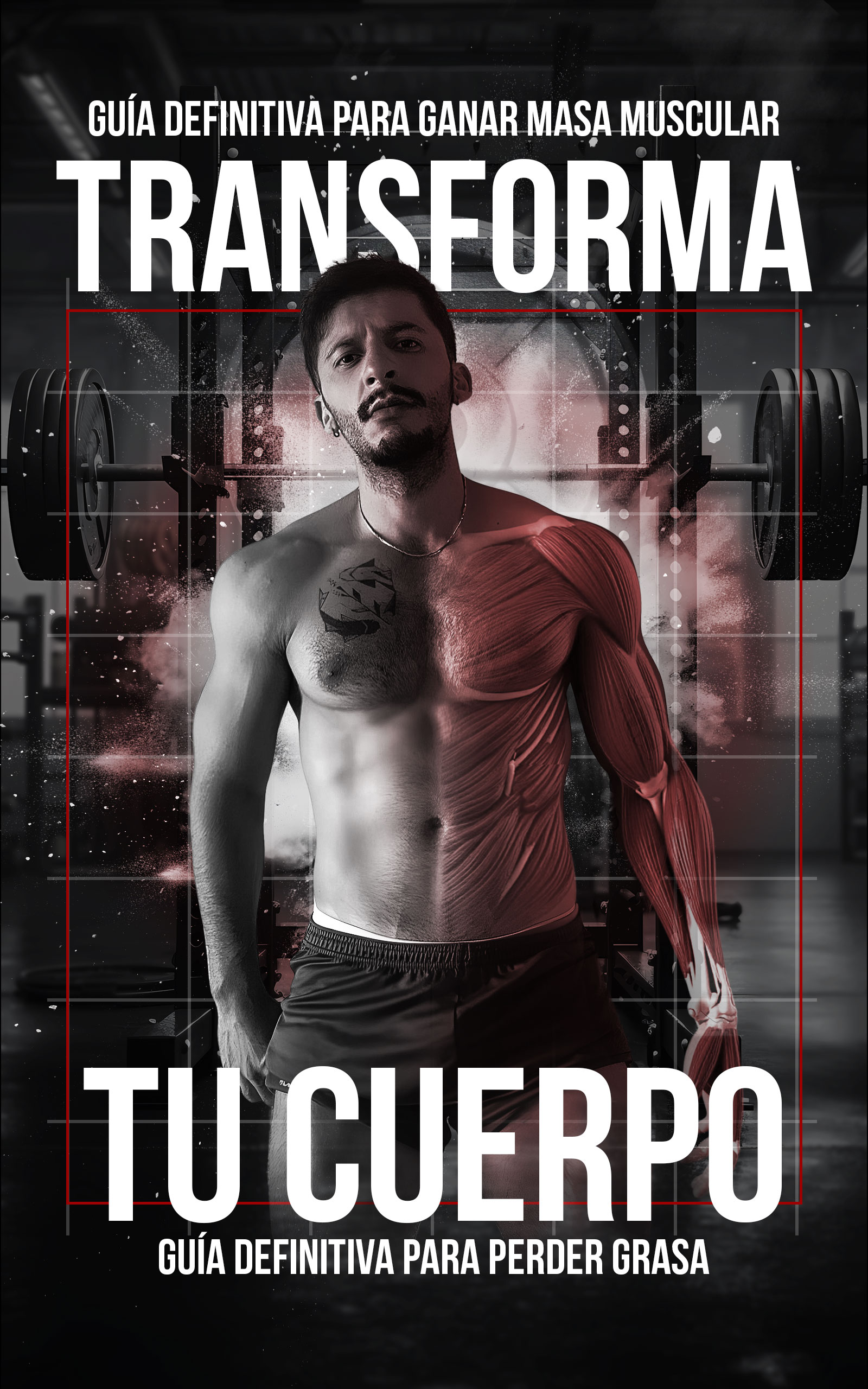 GUÍA DEFINITIVA PARA GANAR MASA MUSCULAR Y PERDER GRASA - ana teres...