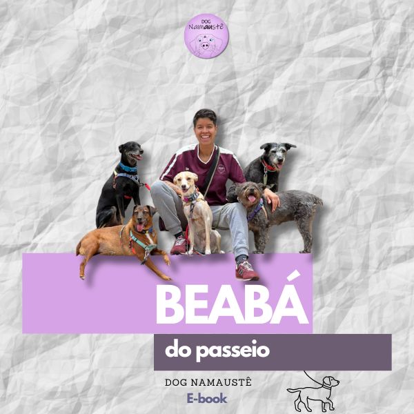 Beaba do Passeio - Andreza Modesta Garcia do Nascimento | Hotmart