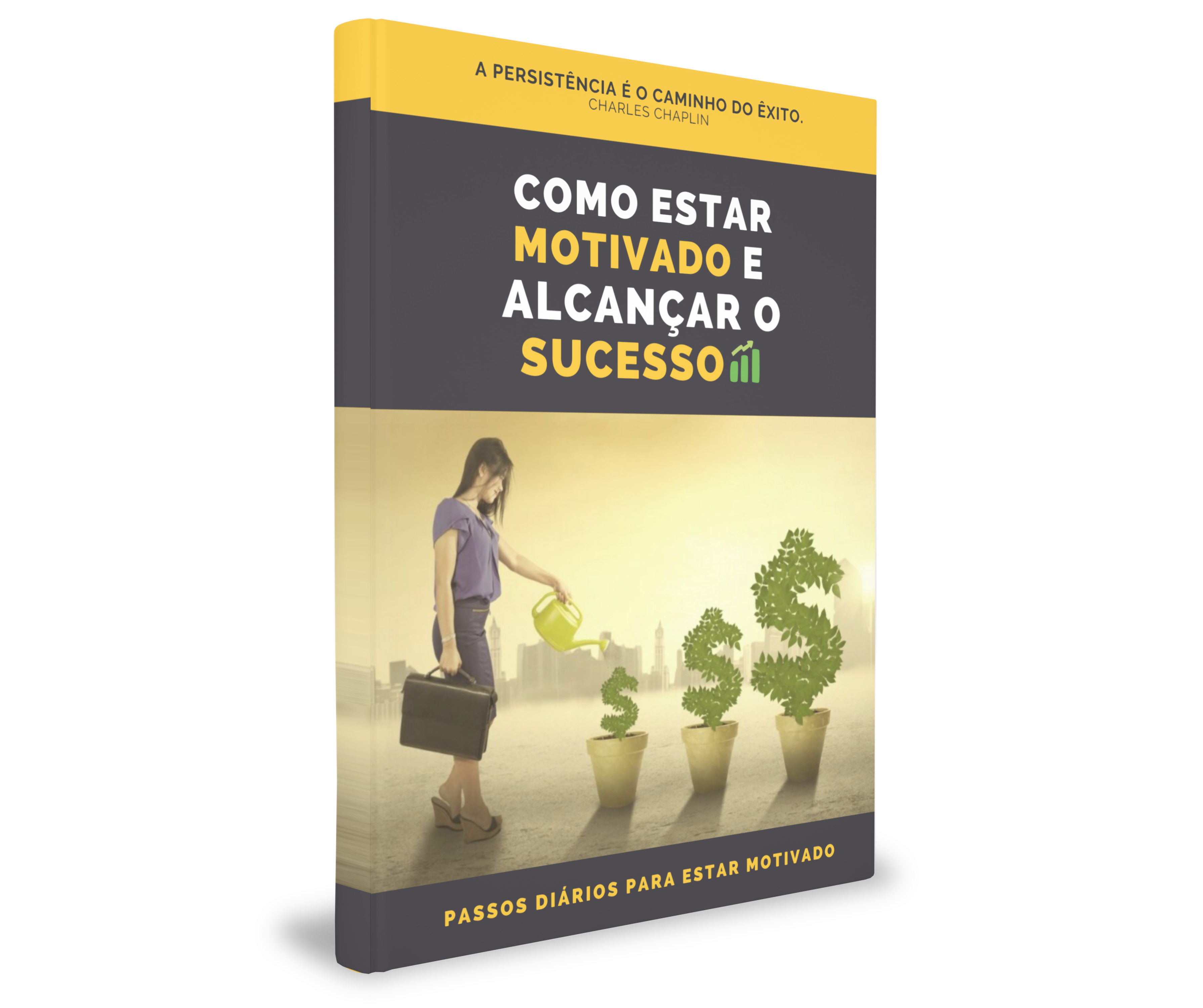 Como Estar Motivado e Alcançar o Sucesso - Passos Diários Para Estar ...