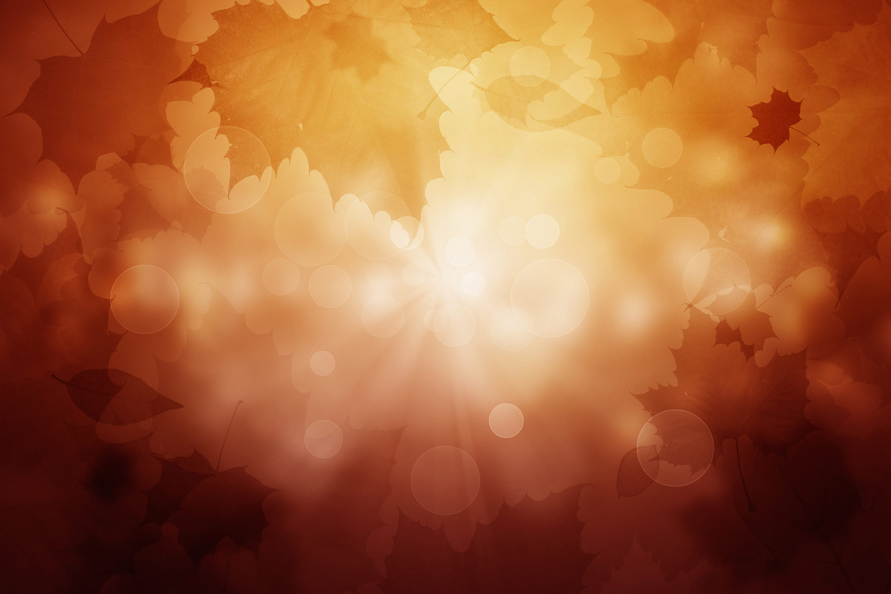 10 Backgrounds de Outono - Gabriella | Hotmart