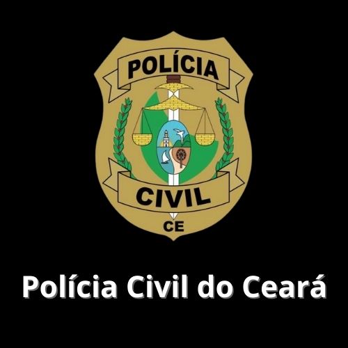 Flashcards PCCE - Christian Soares | Hotmart