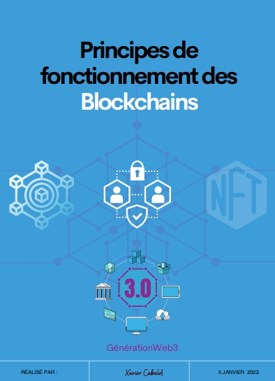 Principes de fonctionnement des Blockchains - cabald xavier | Hotmart