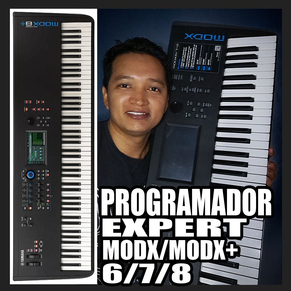 PROGRAMADOR EXPERT MODX / MODX+