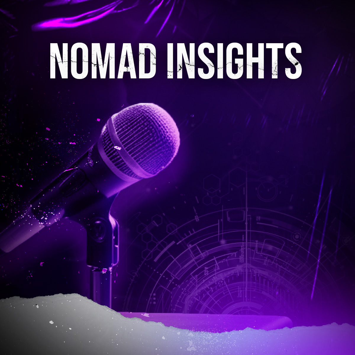 Nomad Insights - Productos ganadores