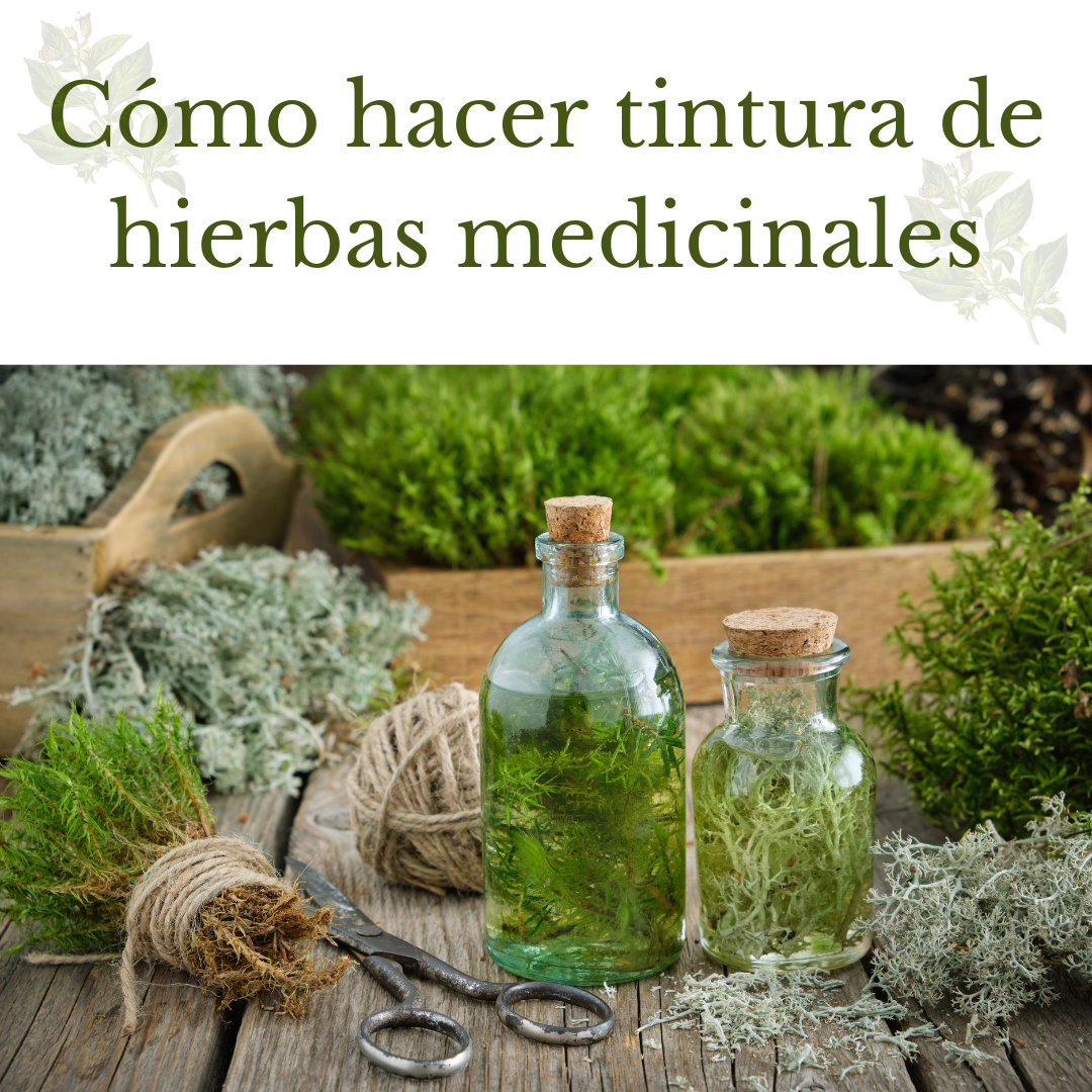 Cómo hacer tintura de hierbas medicinales - Amanda da Fonseca Salem...