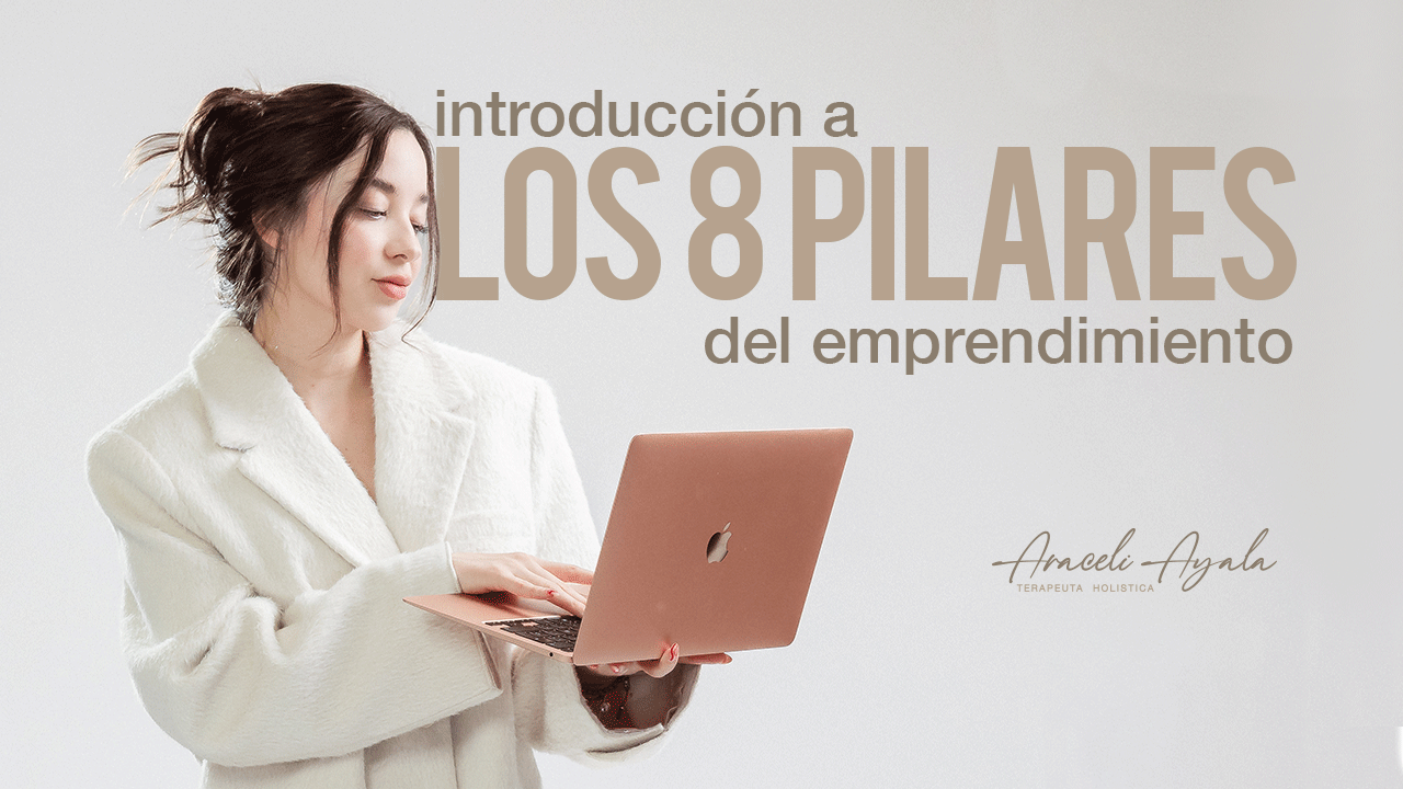 Los 8 Pilares del Emprendedor