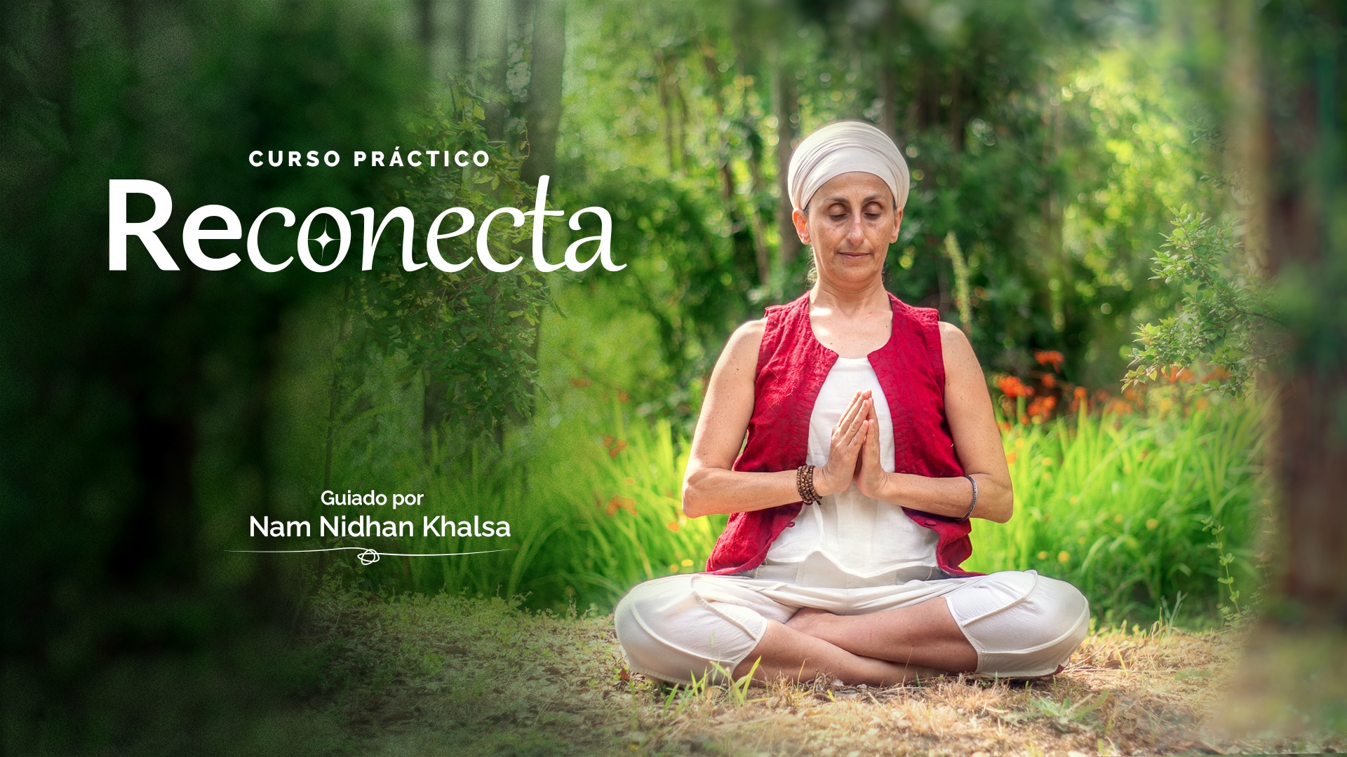 Curso Online - Re-conecta