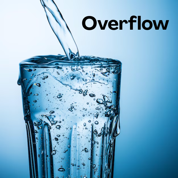 Overflow (sua mentoria por assinatura) - Gabriel Rudow | Hotmart