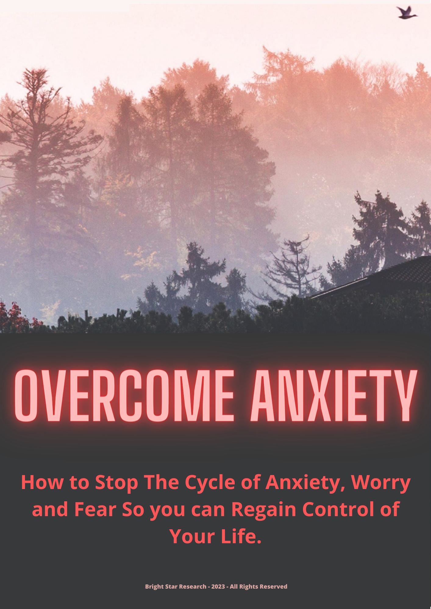 Overcome Anxiety
