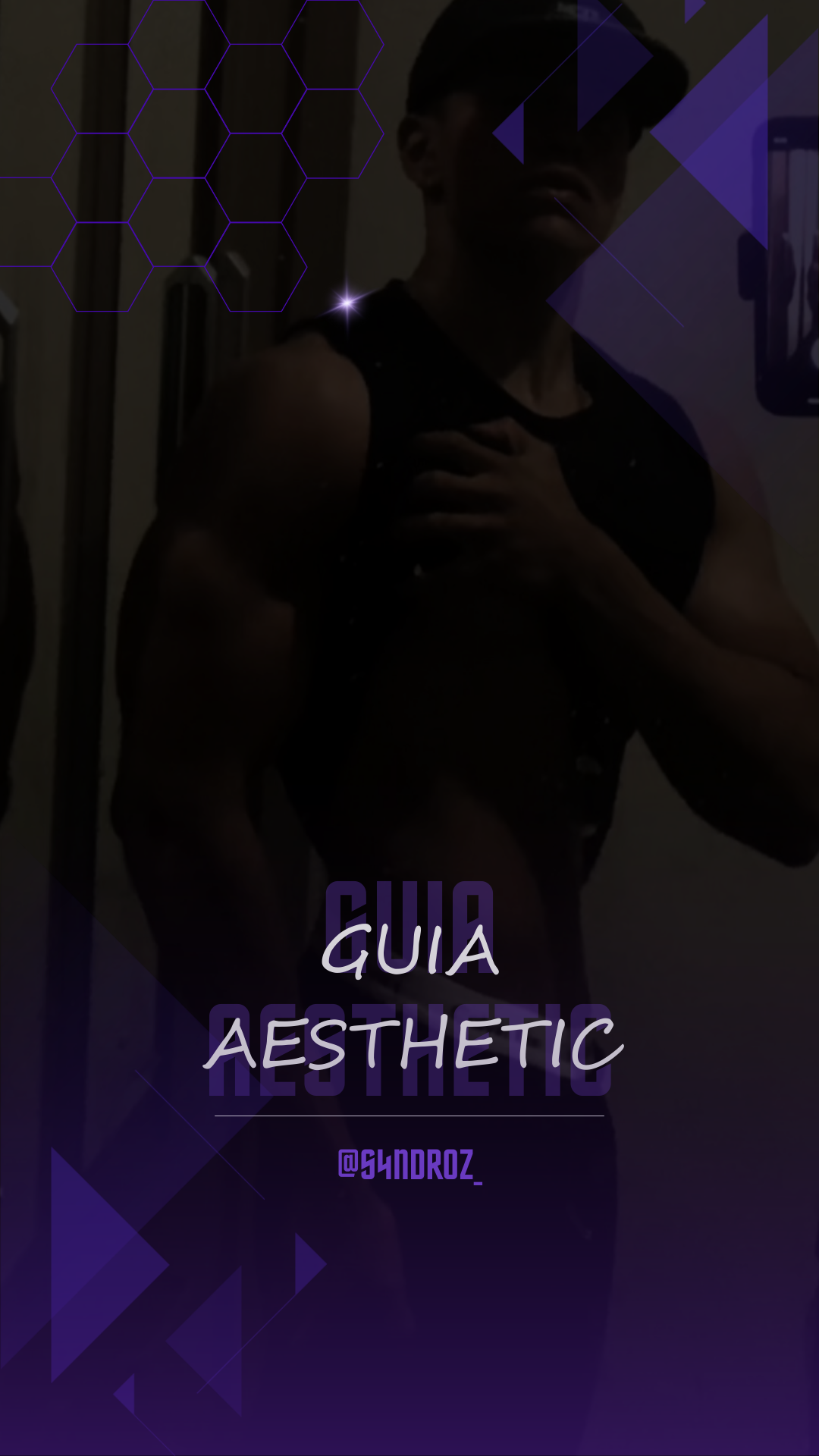 Guia Aesthetic