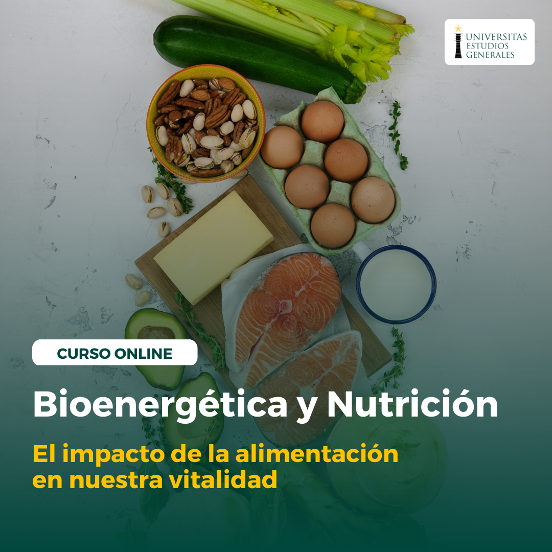 Bioenergética y Nutrición: El impacto de la alimentación en nuestra ...