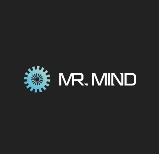 MISTER MIND ASS | MR INS
