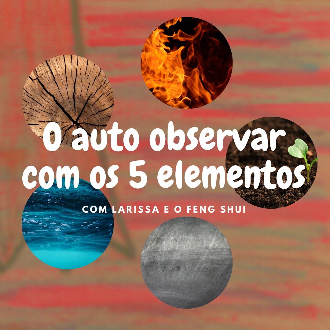 O auto observar com os 5 elementos - Larissa Ribeiro | Hotmart