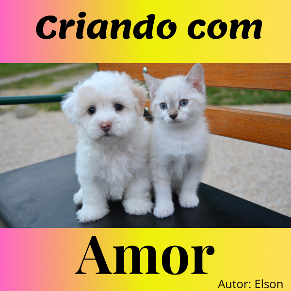Criando com Amor