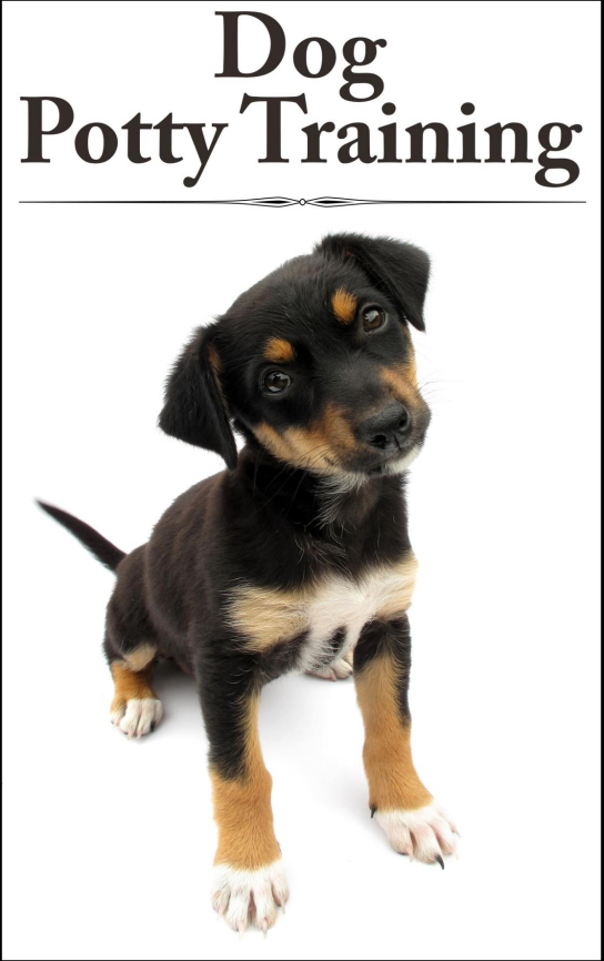 Treinamento Penico de Cachorro - pedro | Hotmart