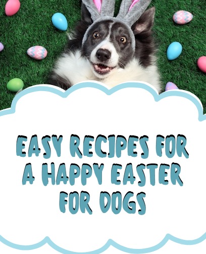 Easy recipes for a happy easter for Dogs