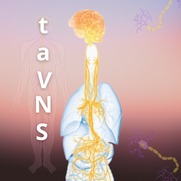 Estimulação Elétrica Transcutânea do Nervo Vago Auricular (taVNS)