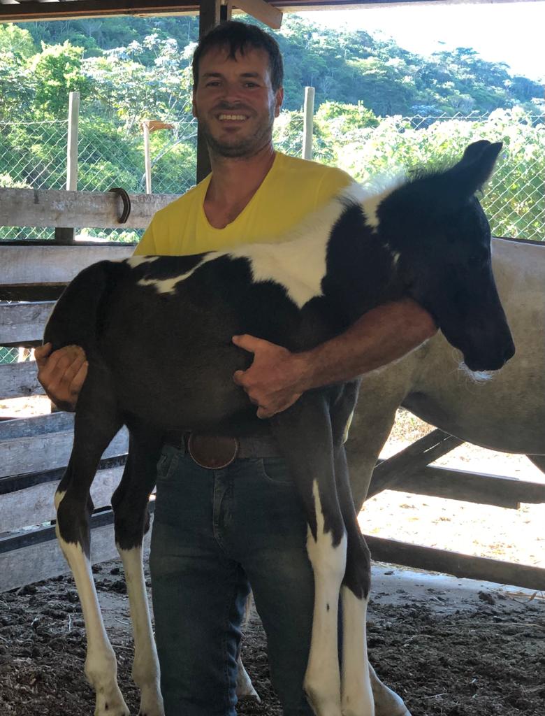 Método CRIA OM - Cibele Batalha Soares | Hotmart