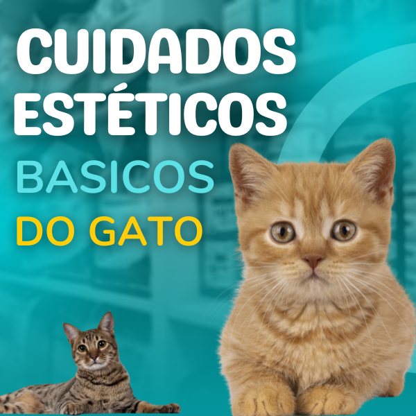 Cuidados Estéticos Básicos do Gato - Tips para Gatunos | Hotmart