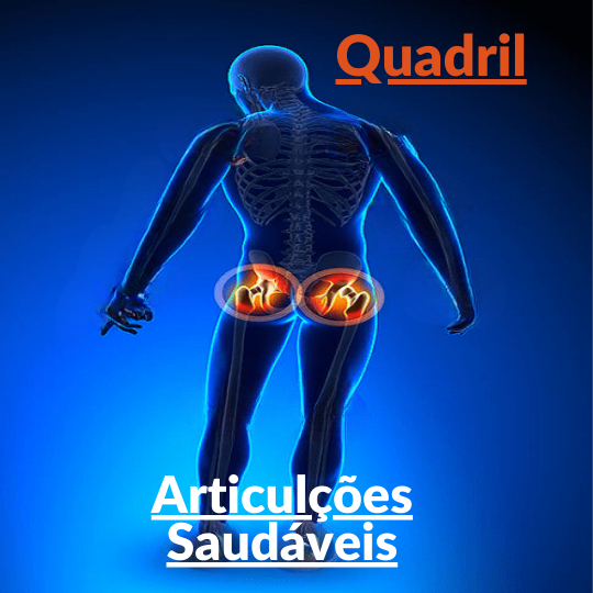 Articulações Saudáveis/ Quadril - Marcello Rubens Orlando | Hotmart