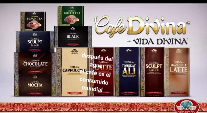 Vida divina