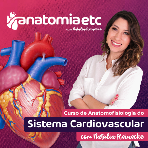 Anatomia ETC - O Melhor Curso com Animações de Sistema Cardiovascular ...